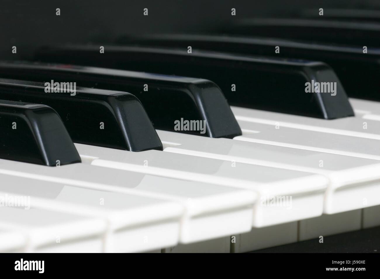 keyboard musical instrument black swarthy jetblack deep black blank ...