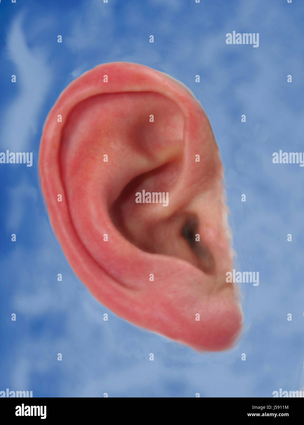 auditory perception blue Stock Photo - Alamy