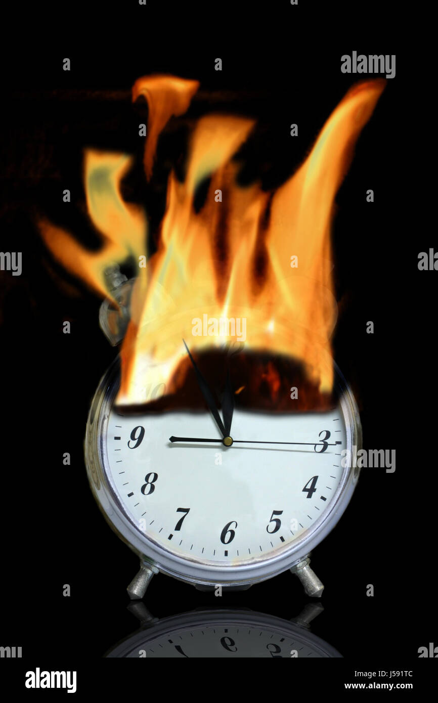 4 pointer hi-res stock photography and images - Alamy