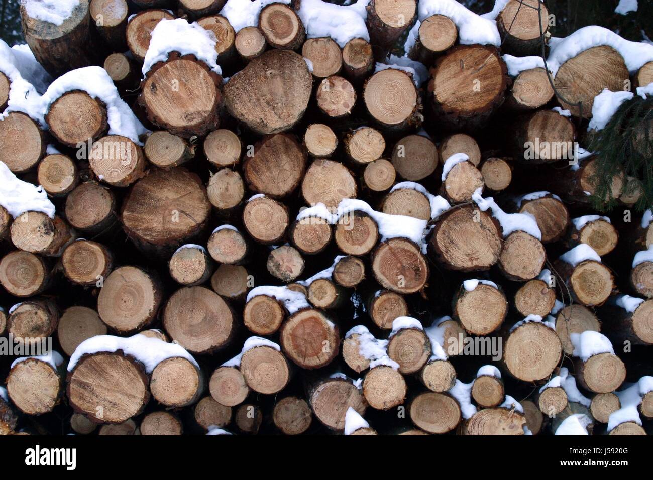 Appelt High Resolution Stock Photography and Images - Alamy