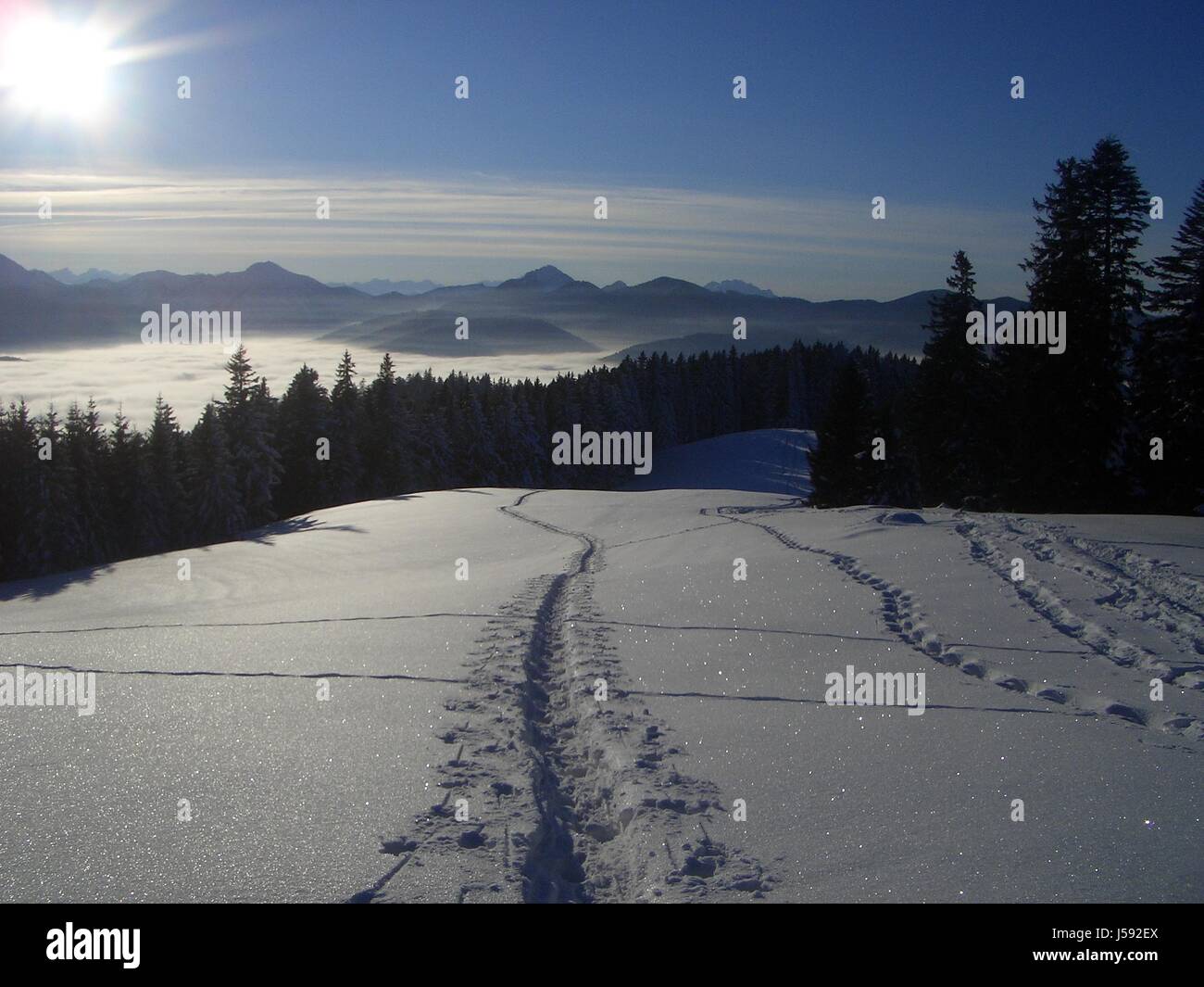 Light shield hi-res stock photography and images - Alamy