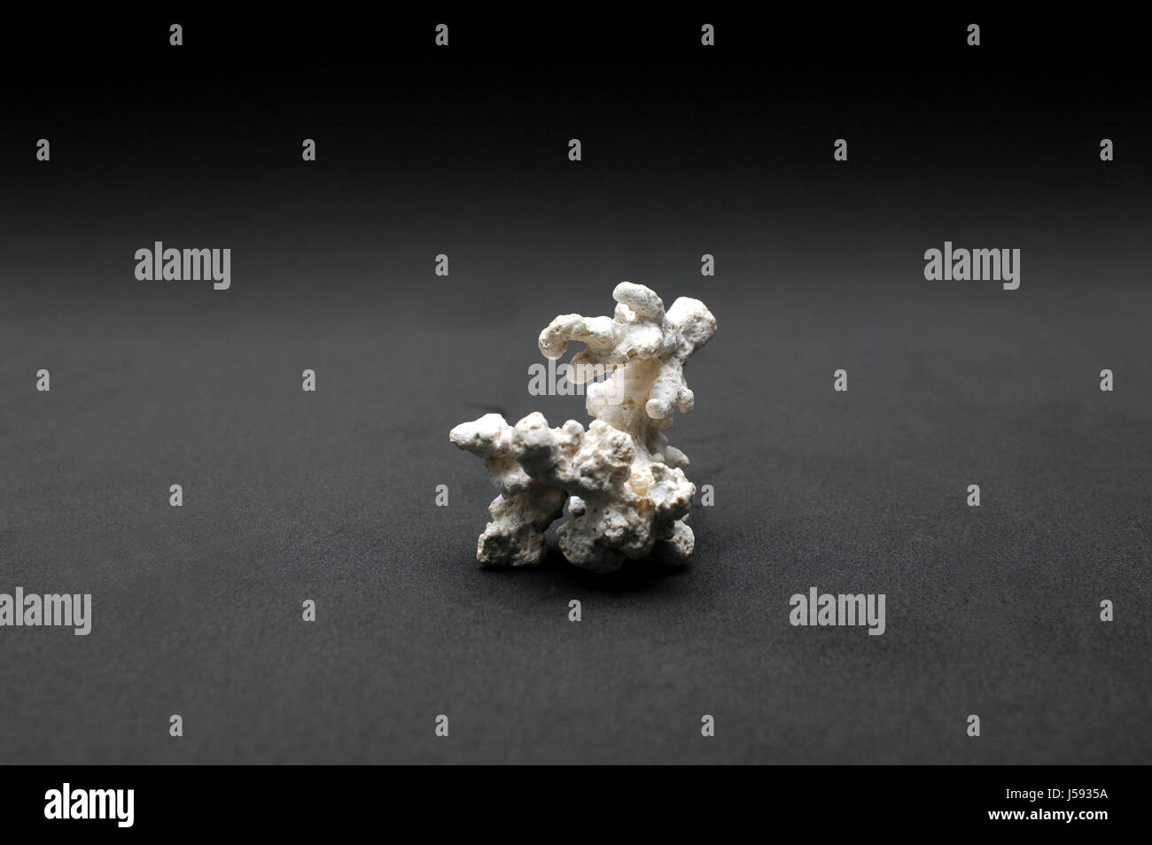 Branch coral hi-res stock photography and images - Alamy