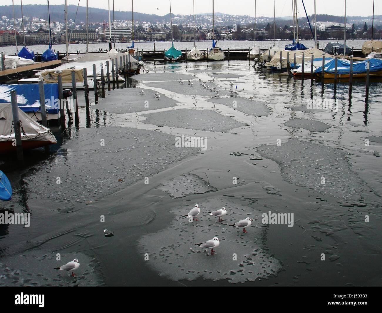 winter ships sailing boat sailboat rowing boat boat watercraft cold ...