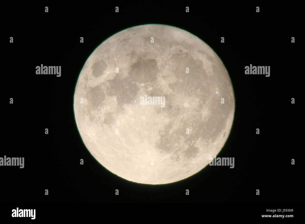 our constant companion Stock Photo - Alamy