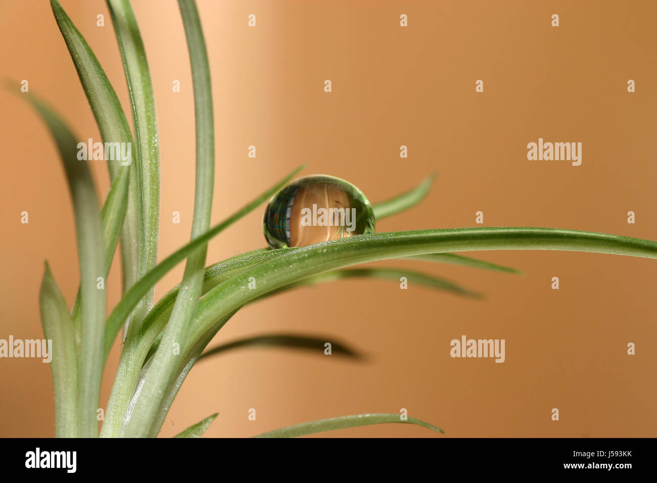 Quite small hi-res stock photography and images - Alamy