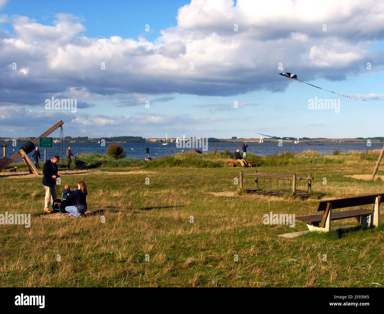 humans human beings people folk persons human human being grandpa ...