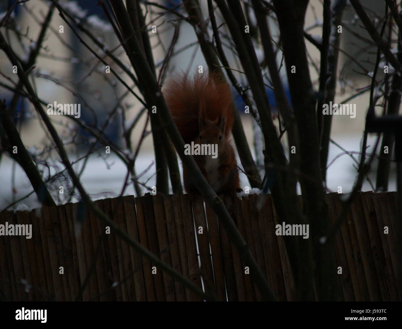 1 400 sec hi-res stock photography and images - Alamy