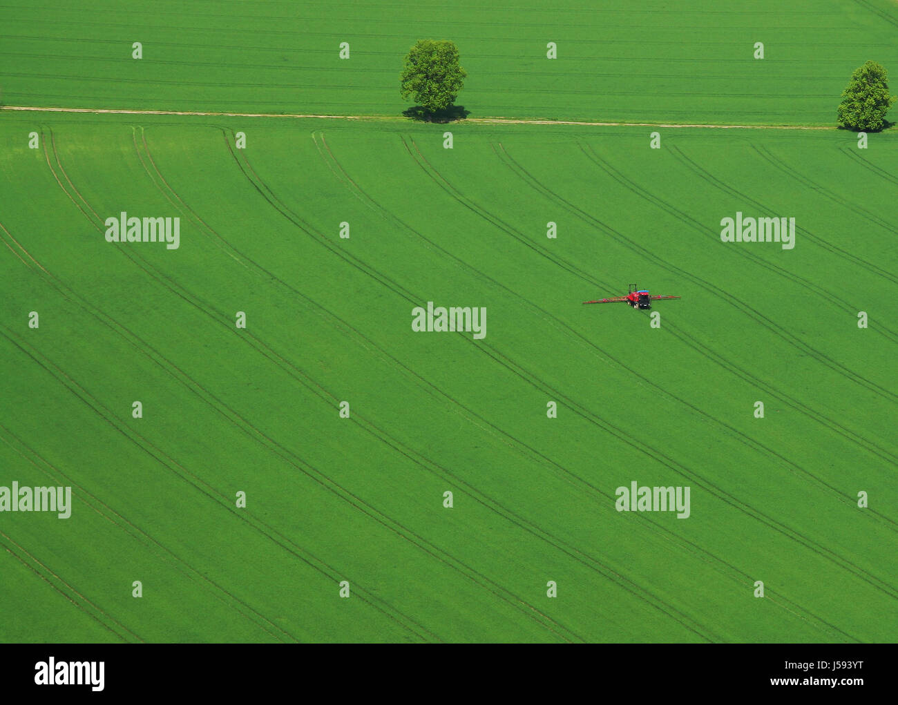 red point in greenland Stock Photo - Alamy