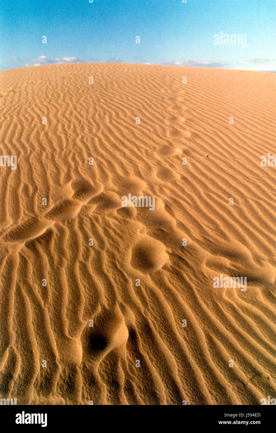blue hill desert wasteland sense dune grooves point high pressure area ...