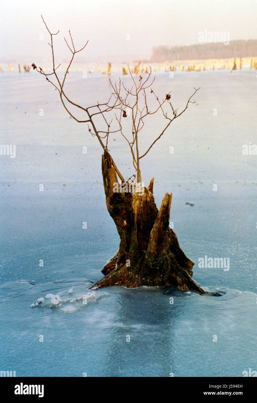 Blunt sun hi-res stock photography and images - Alamy