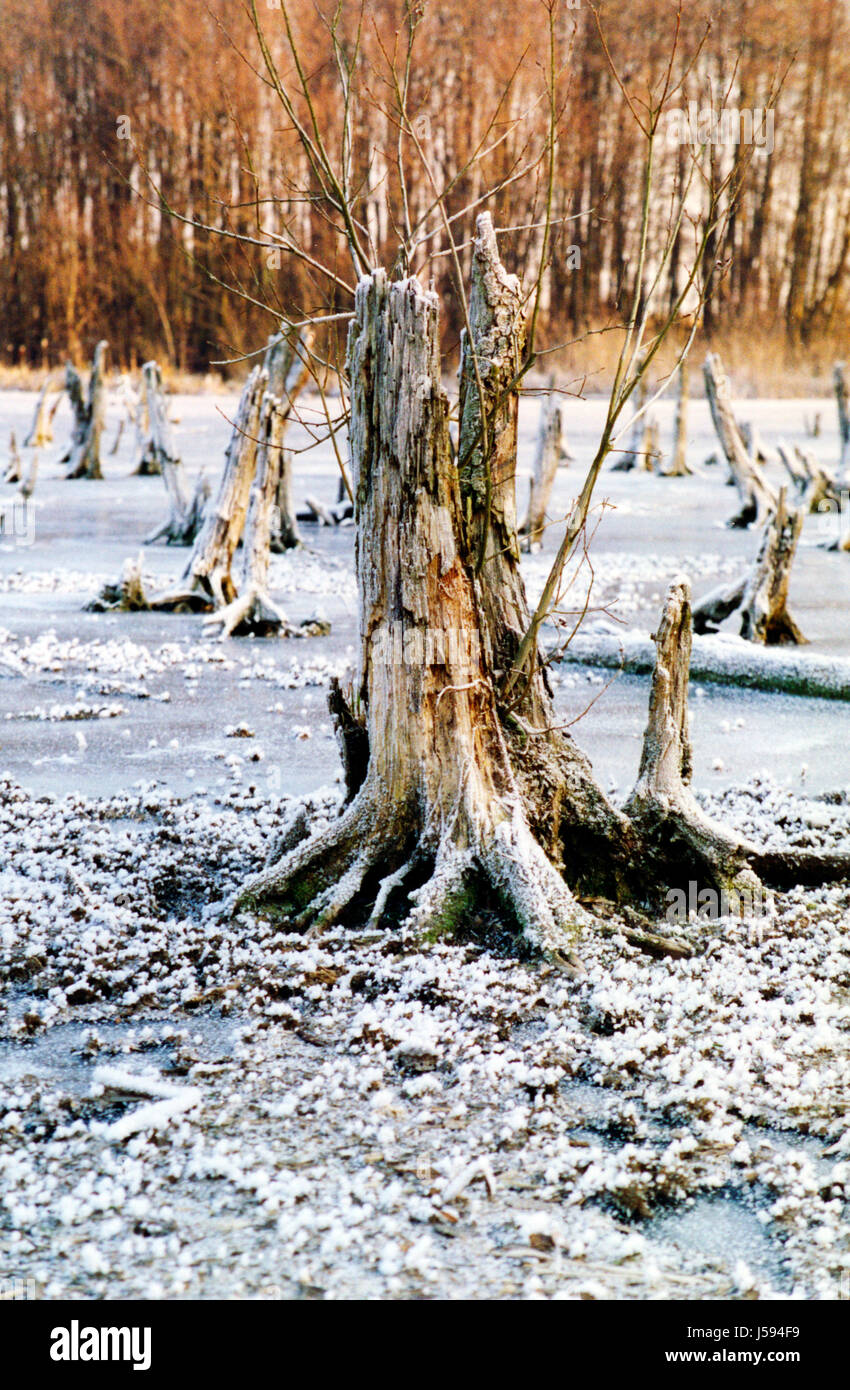 Blunt sun hi-res stock photography and images - Alamy