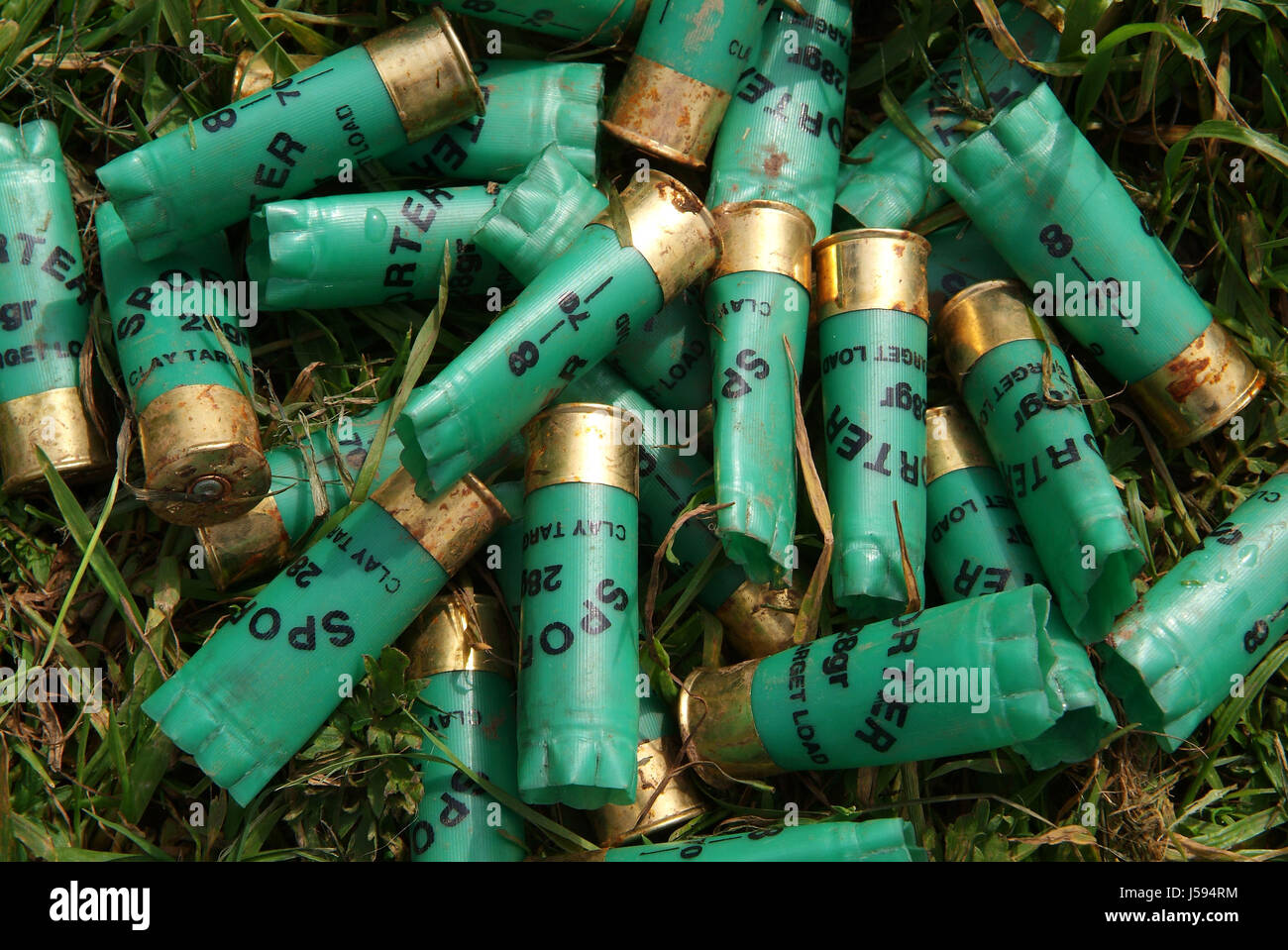 Champion clay target shooter (clay pigeon shooter) Alison Nichol Stock ...