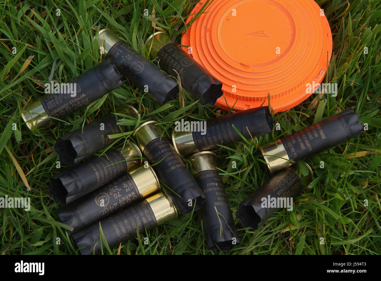 Champion clay target shooter (clay pigeon shooter) Alison Nichol Stock ...