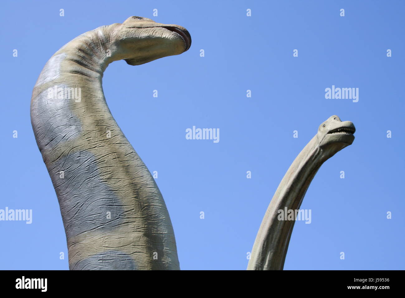 Dinos hi-res stock photography and images - Alamy