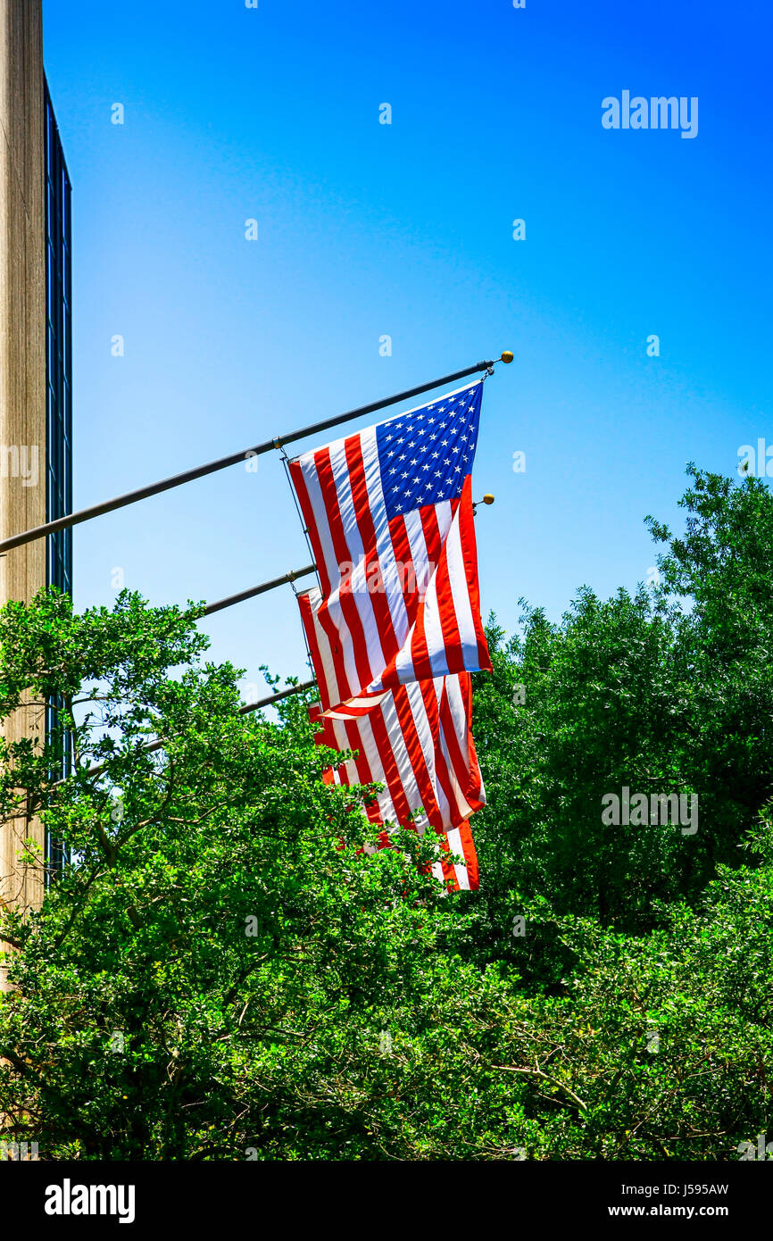 American Flags flying over the sidewalks in downtown Tampa City in ...