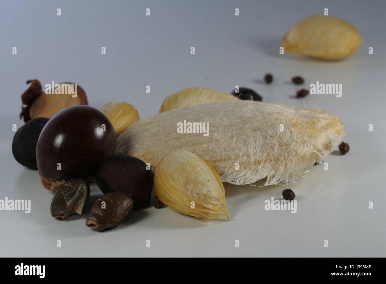 exotics seed variety Stock Photo - Alamy