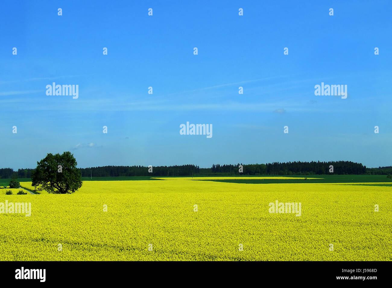 soon it's time again Stock Photo - Alamy