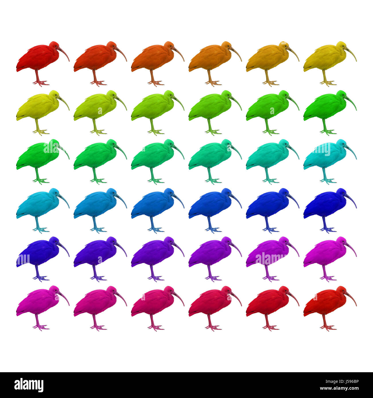 Ecuador colors Cut Out Stock Images & Pictures - Alamy