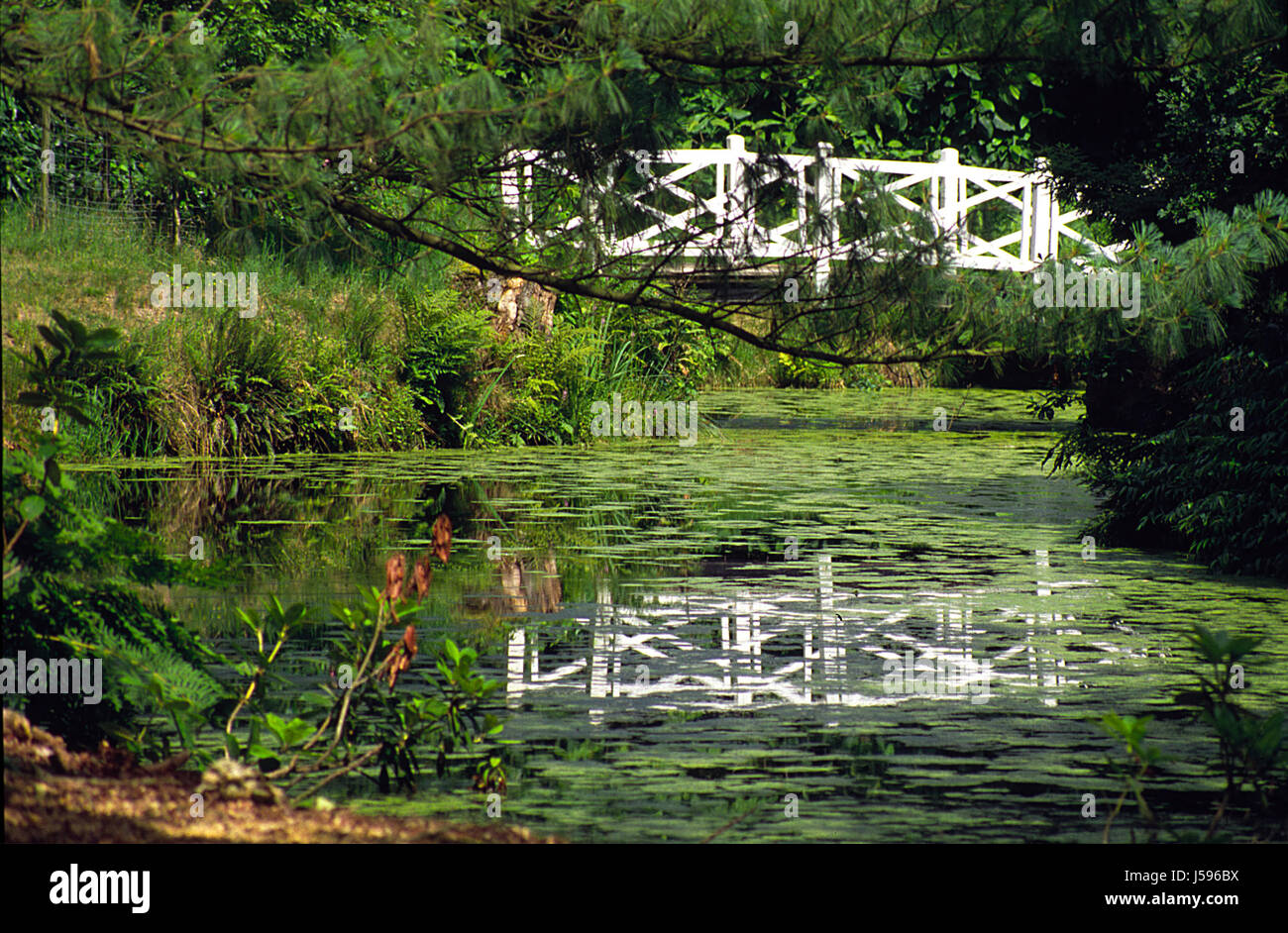 The white bridge hi-res stock photography and images - Alamy