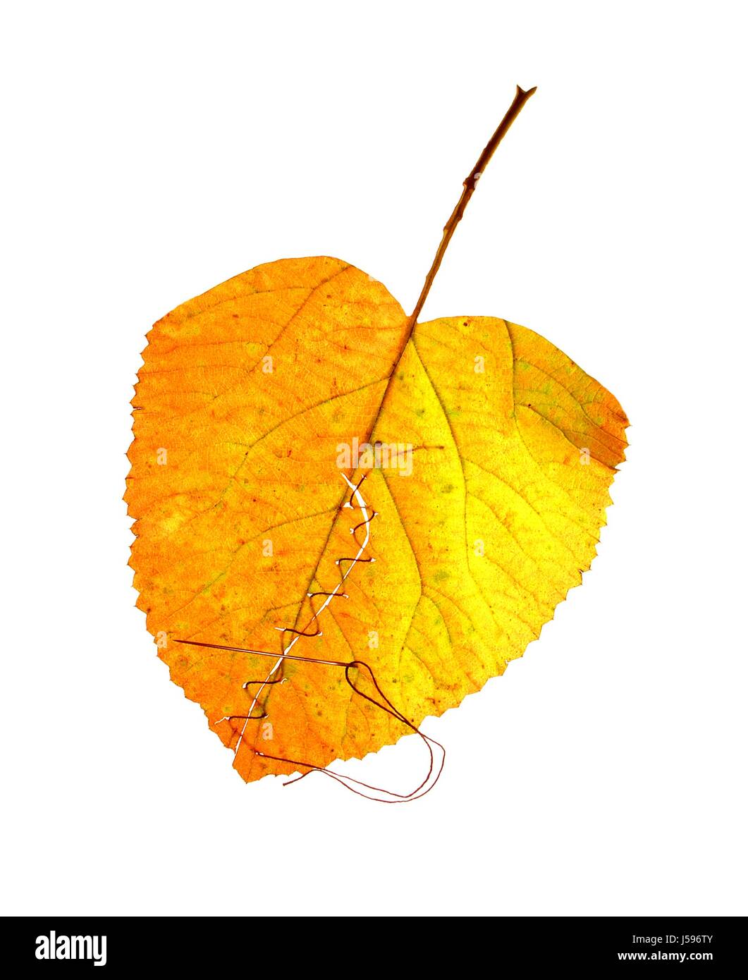 the patched heart Stock Photo - Alamy
