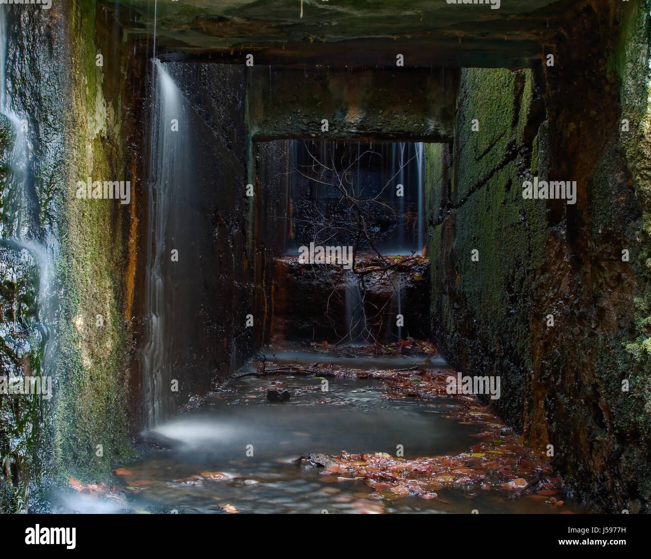 branches tunnel cascades expiration moss adit moldiness water stones ...