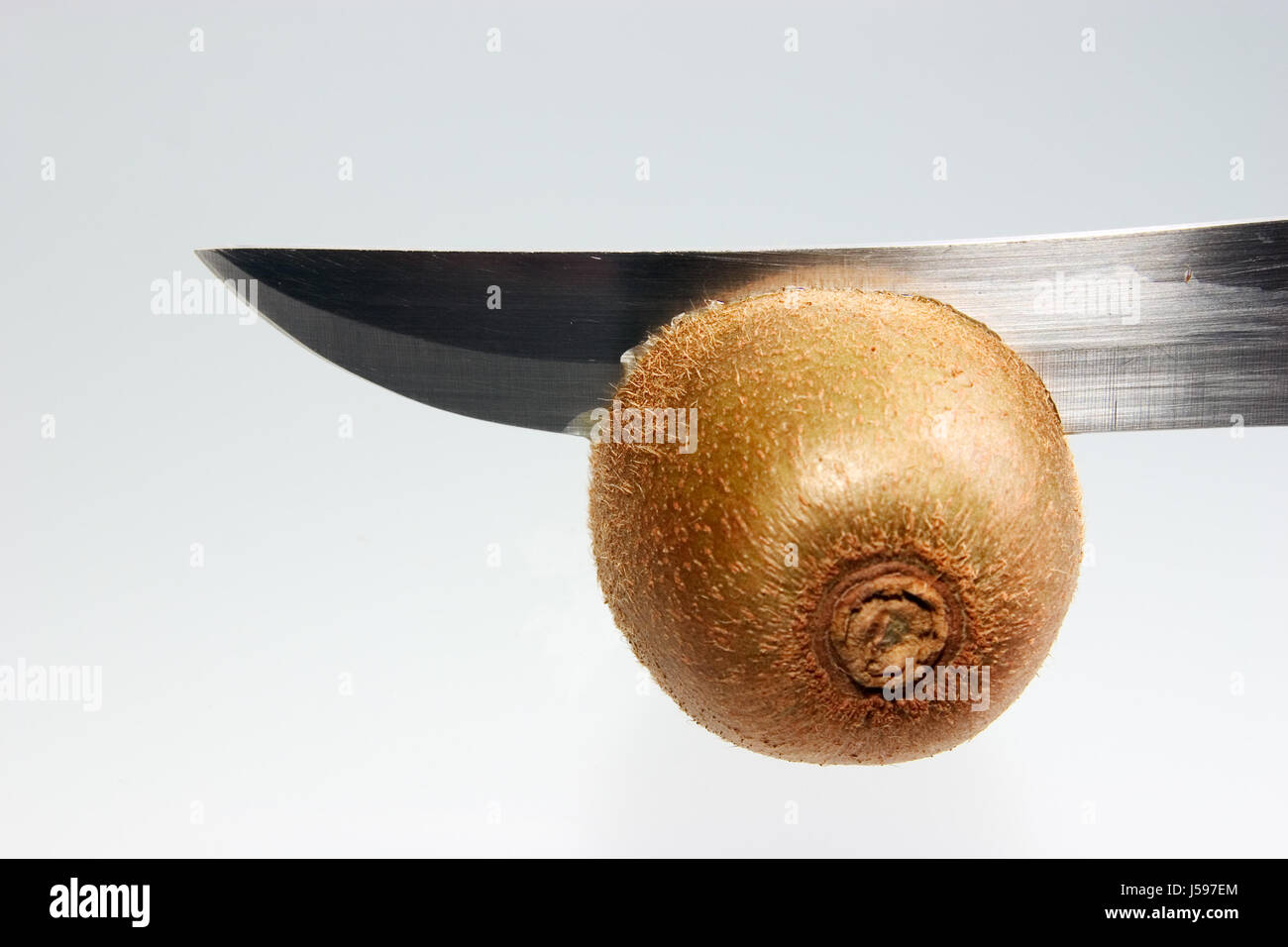 green progenies fruits counter-light fruit divide sharing divided ...