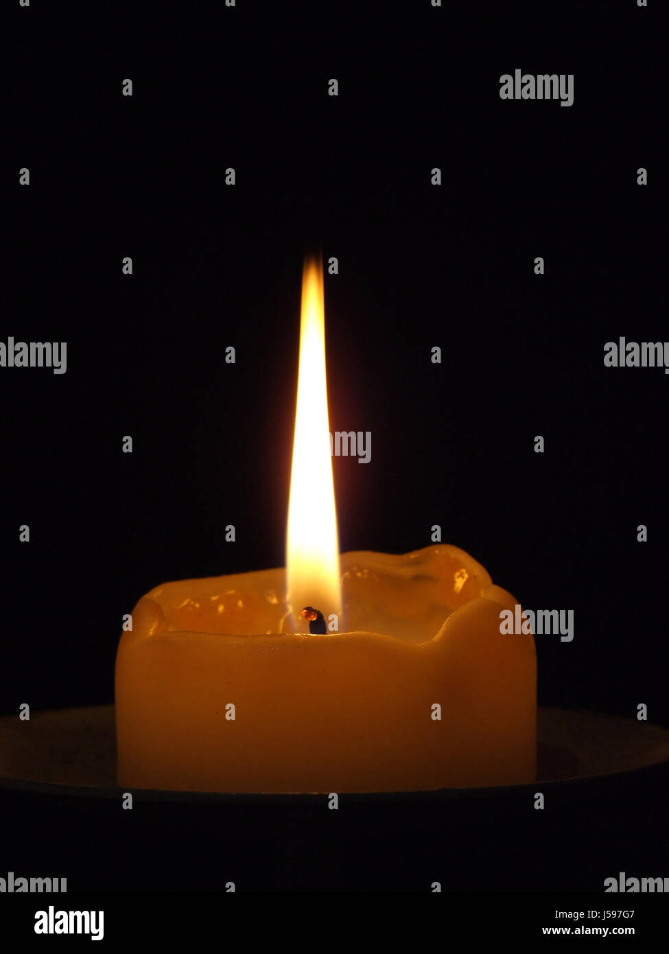 still life shine shines bright lucent light serene luminous winter ...