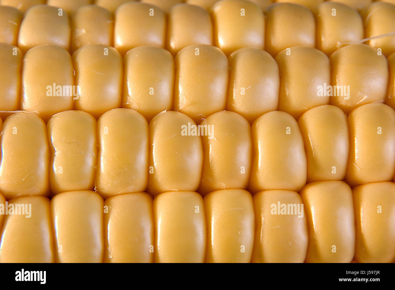 Corn cob formation hi-res stock photography and images - Alamy