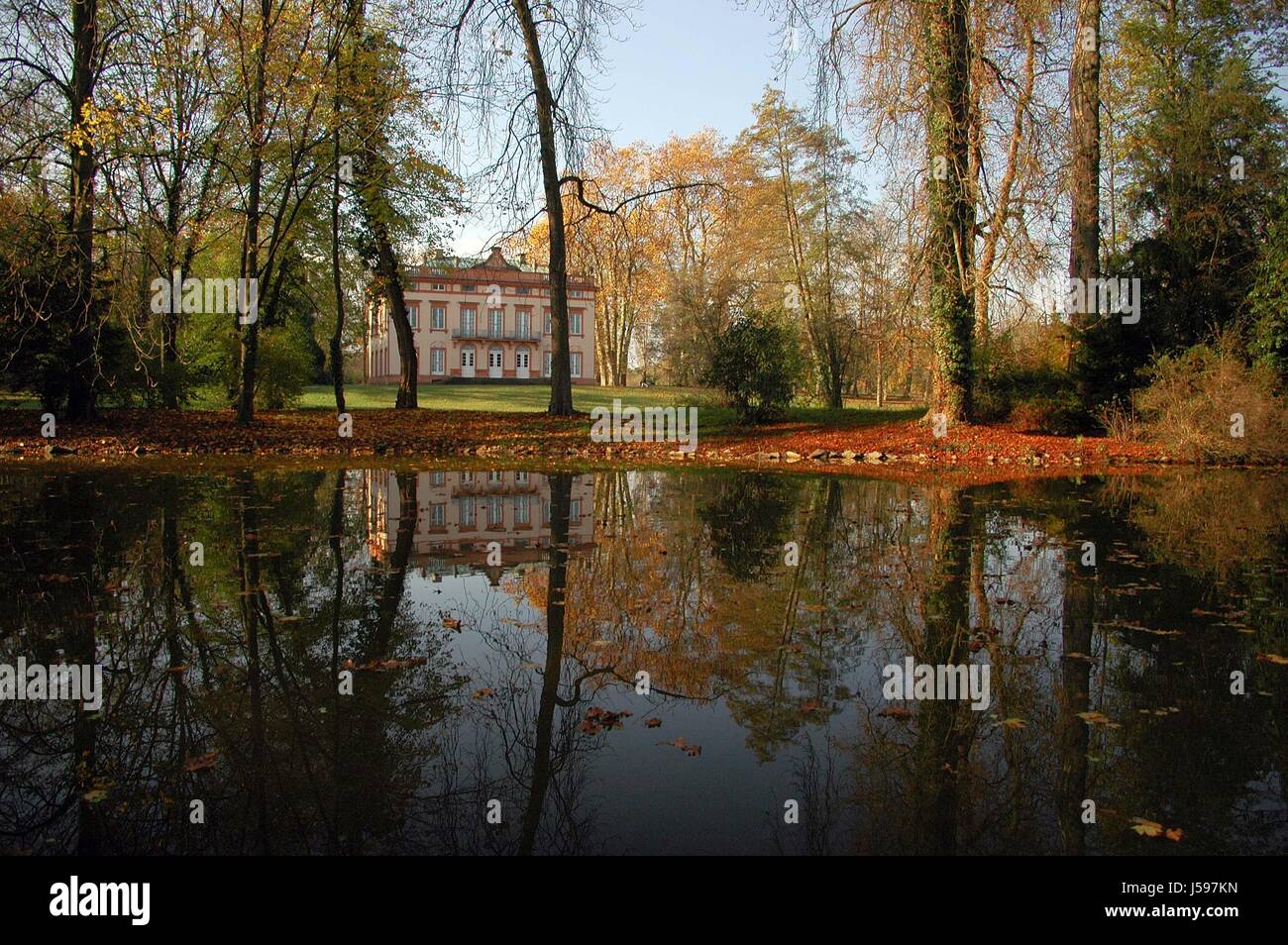 tree trees park green leaves bushes mirroring shrub reflection colour ...