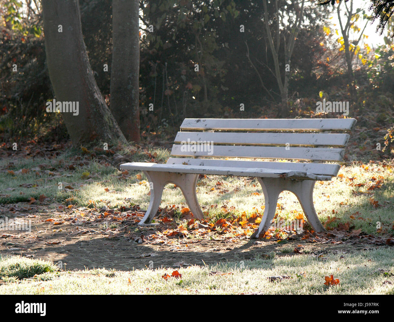 park cold blank european caucasian sunlight counter-light parkway black ...