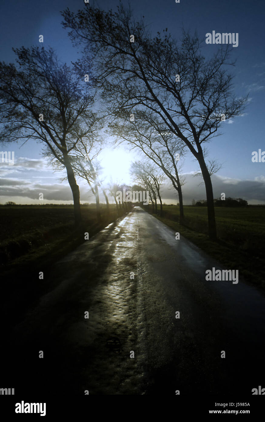 Ostfriesen hi-res stock photography and images - Alamy