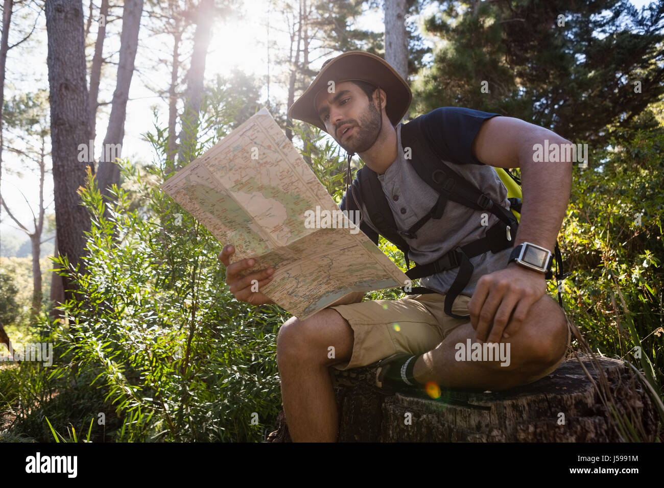 Man reading the map while resting on the tree stump in the forest Stock ...