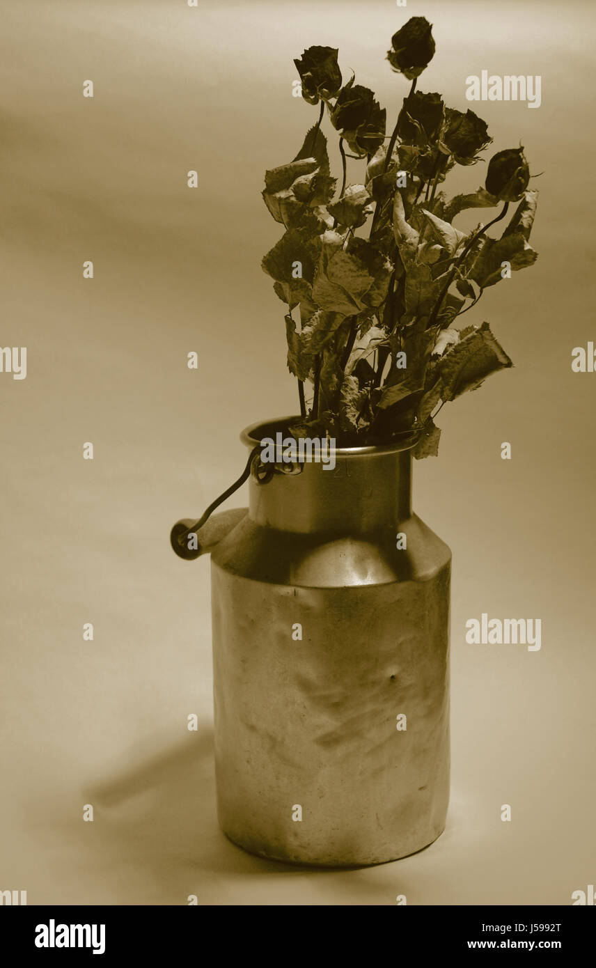 leaf object optional leaves flower flowers plant nostalgia roses dyer ...