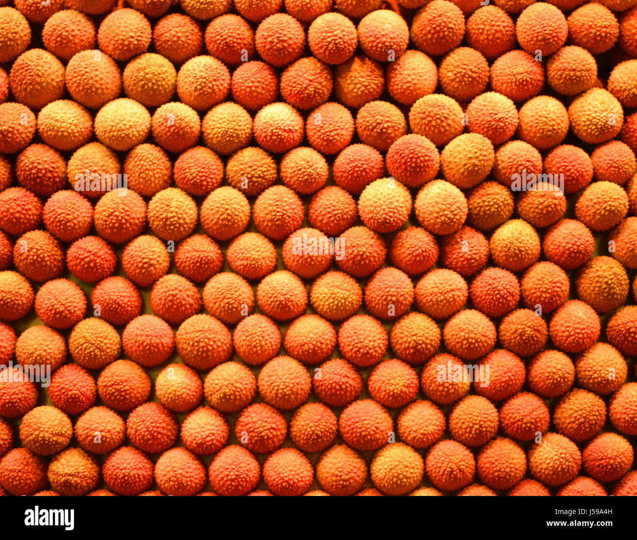 Lichy hi-res stock photography and images - Alamy