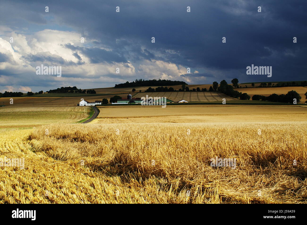 Before wind storm hi-res stock photography and images - Alamy