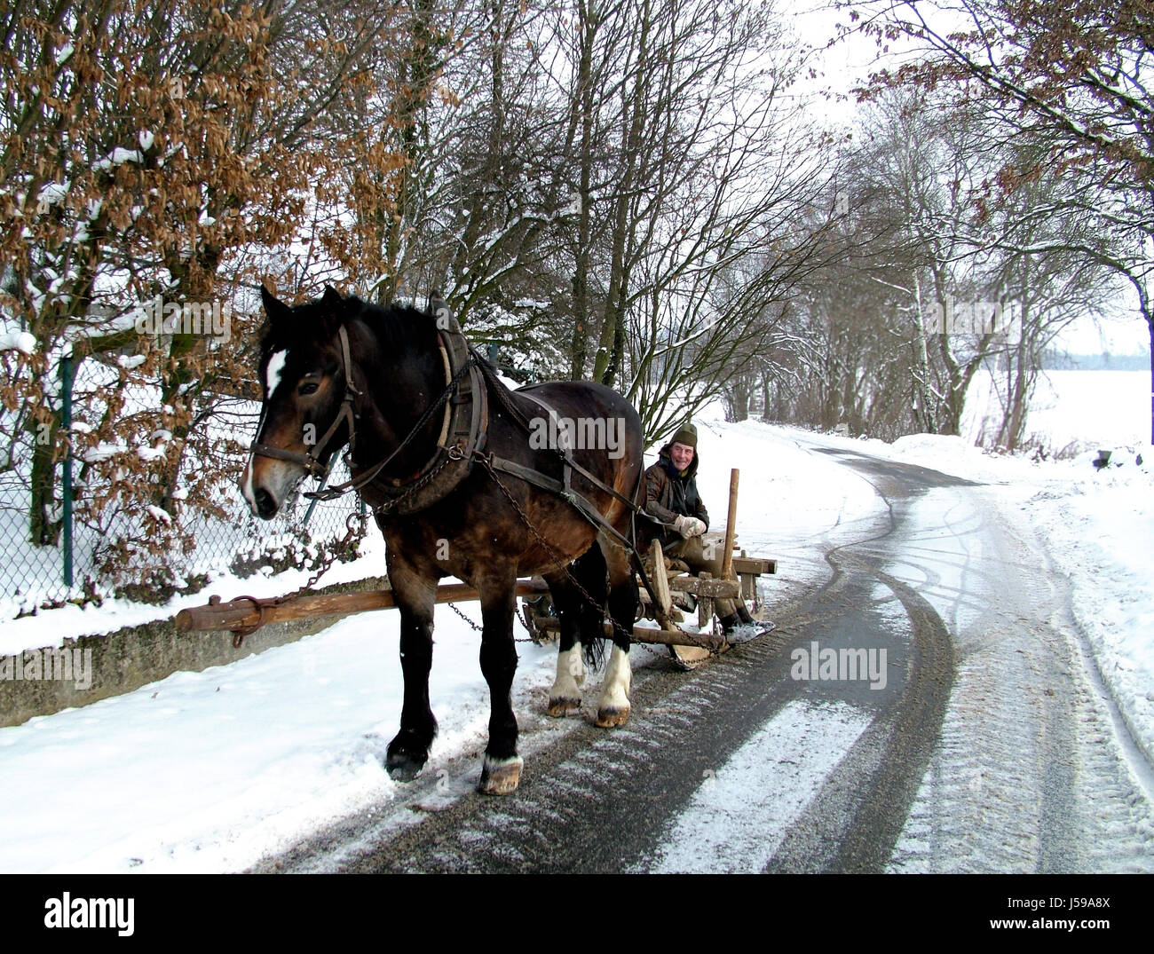 horse winter nostalgia snowy romanticism sense coach sledge sleigh ...