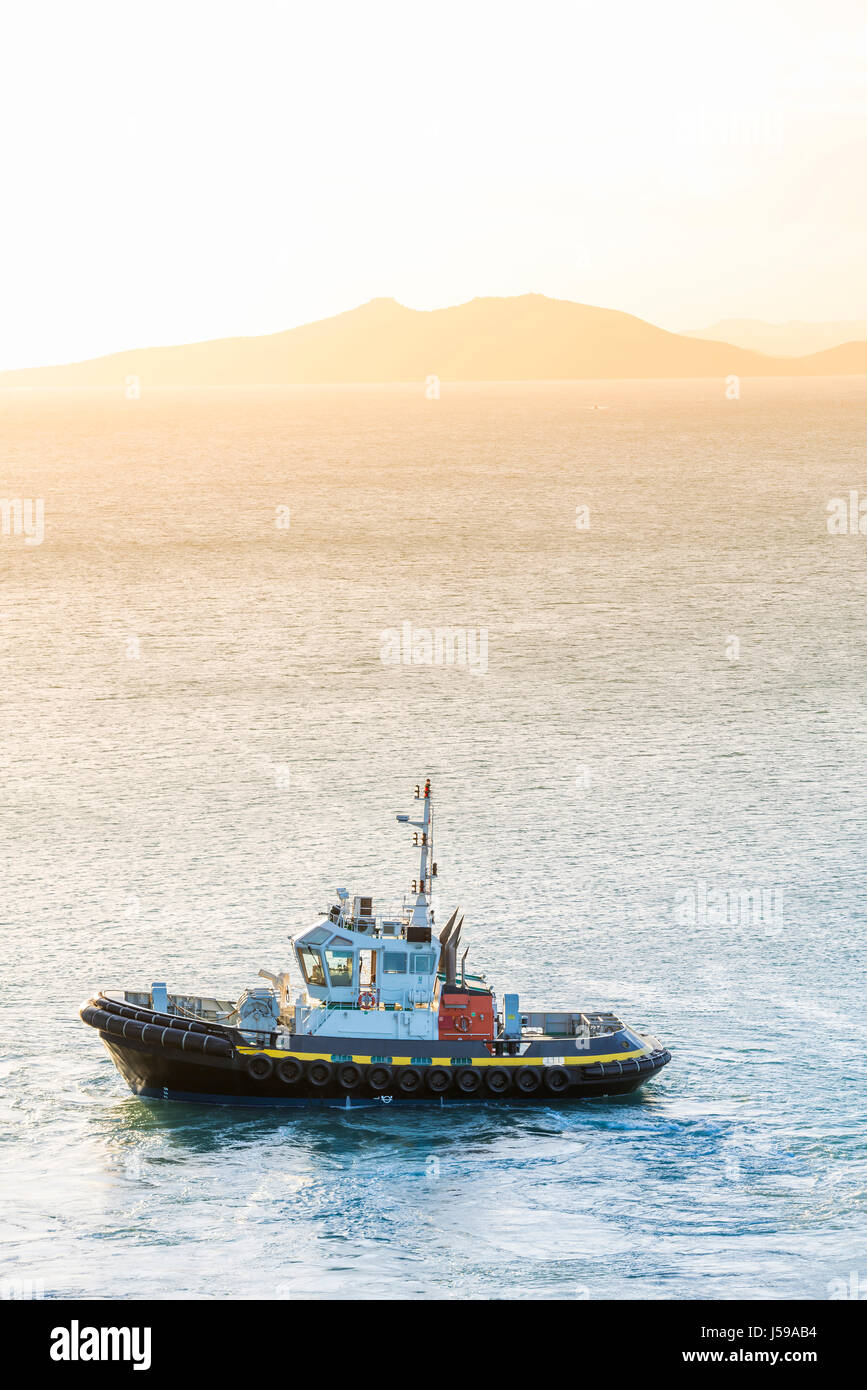 Tugboat in sunset light returning to harbor Stock Photo - Alamy
