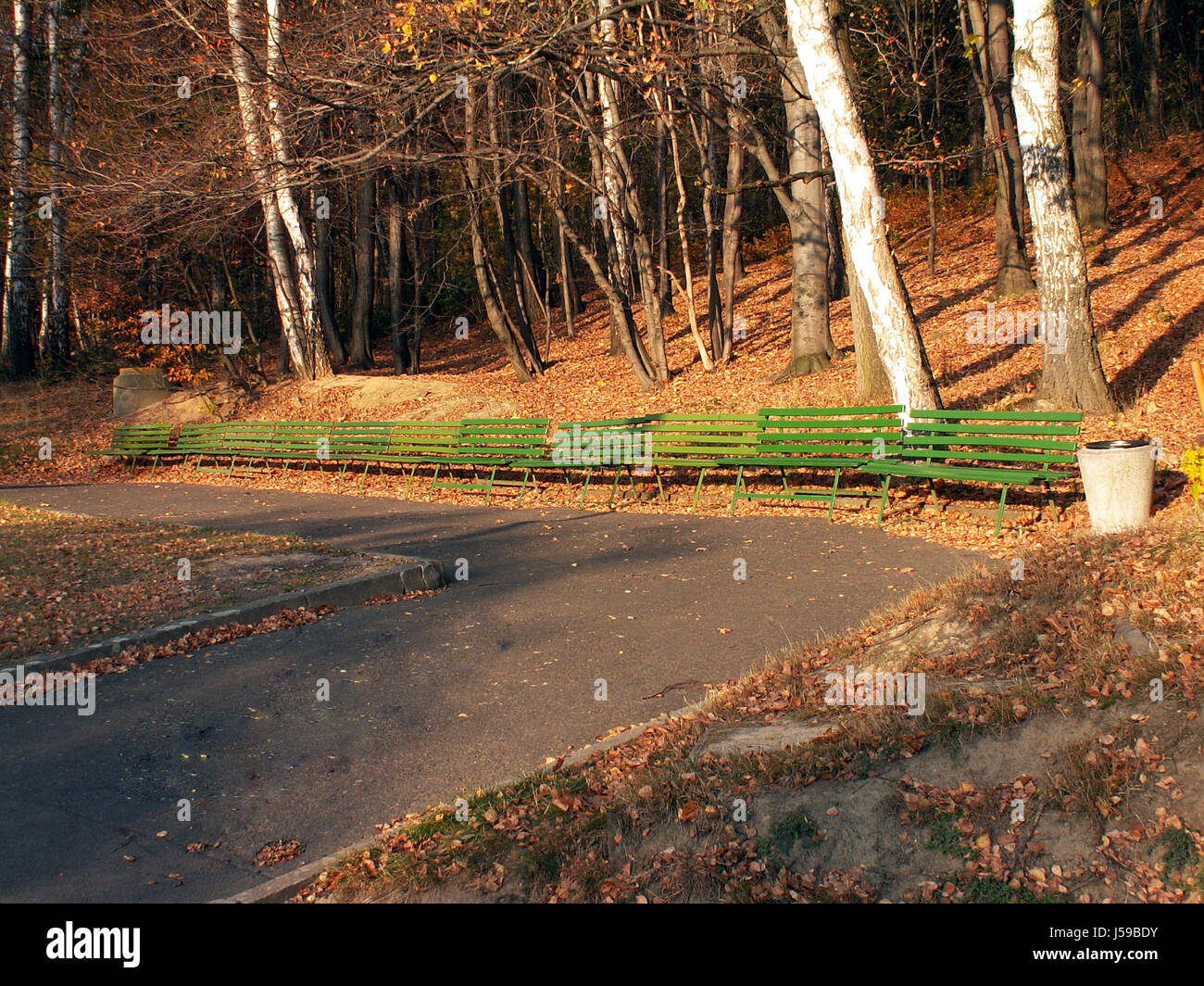 park green hike go hiking ramble sunlight resting place seat bench ...