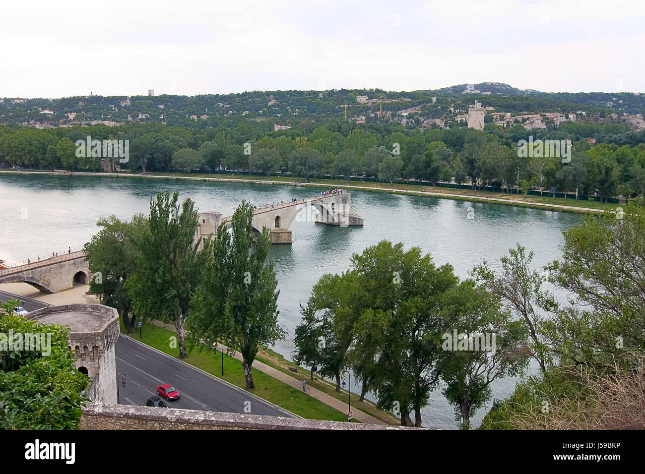 tree trees bridge france bank river water shore avignon sur le pont ...