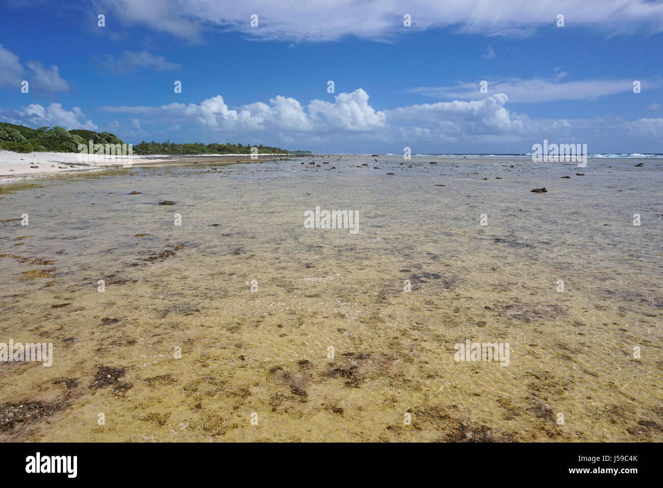 Shore of the open ocean side of the atoll of Rangiroa in the Tuamotus ...
