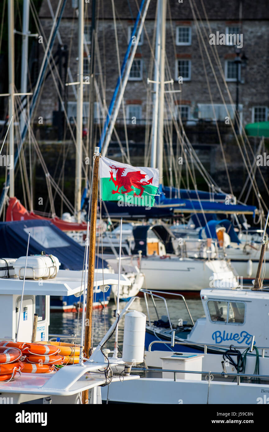 Welsh flag waves in the wind at Tenby Harbour, Tenby, Pembrokeshire ...