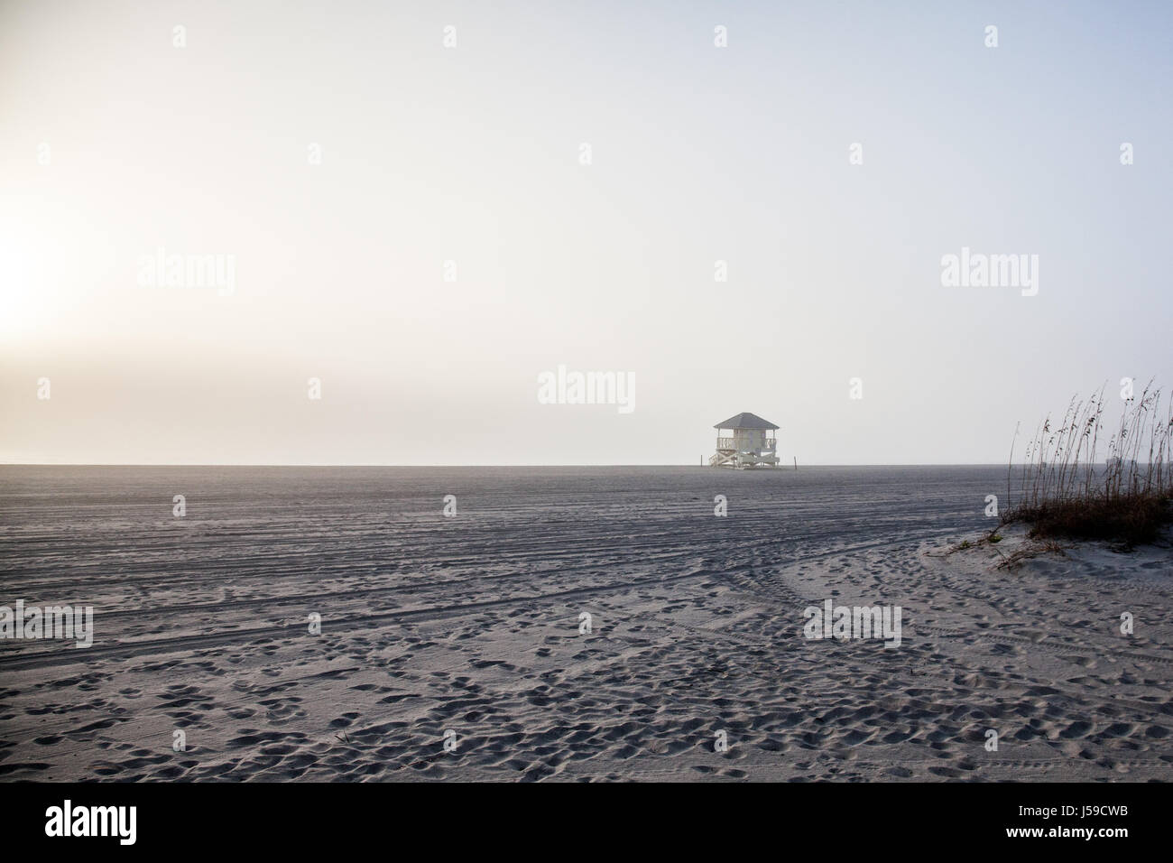 Morning walk in the mist Stock Photo - Alamy