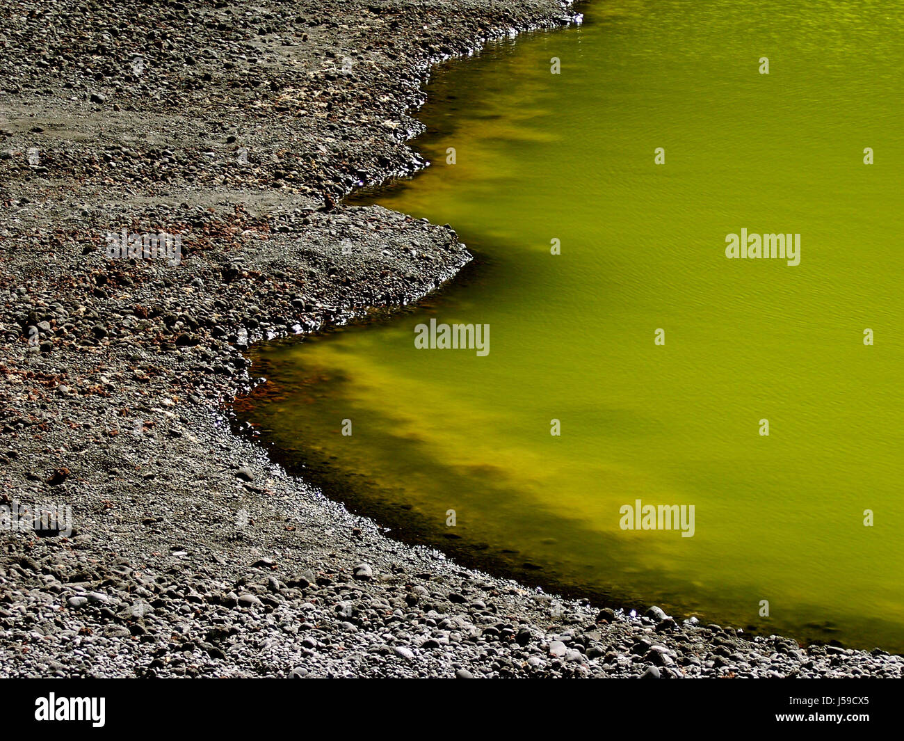 algae color the water green Stock Photo - Alamy