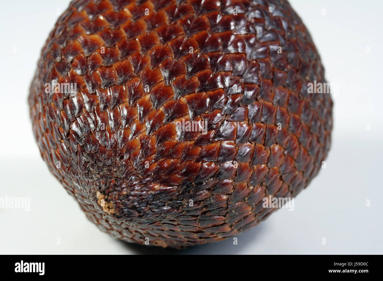 snake fruit ii Stock Photo - Alamy