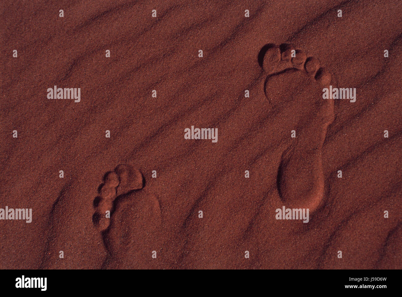 human human being foot feet track footmark footprint follow trudge ...