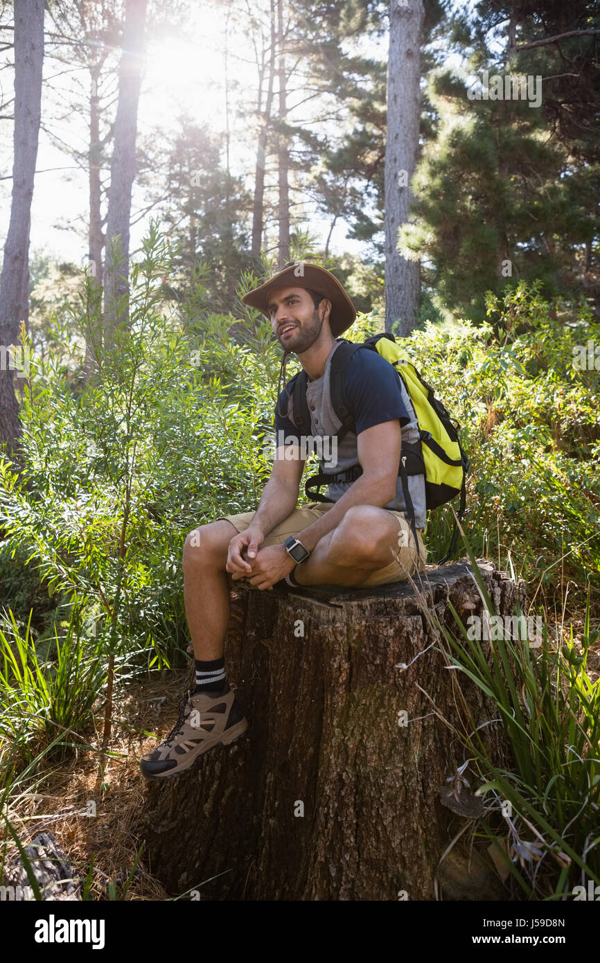 Man resting on the tree stump in the forest on a sunny day Stock Photo ...