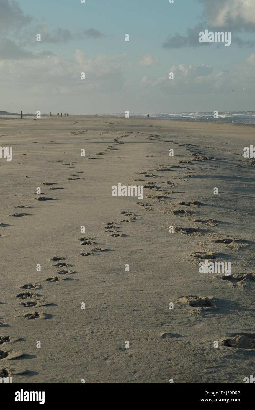 beach seaside the beach seashore water north sea salt water sea ocean ...