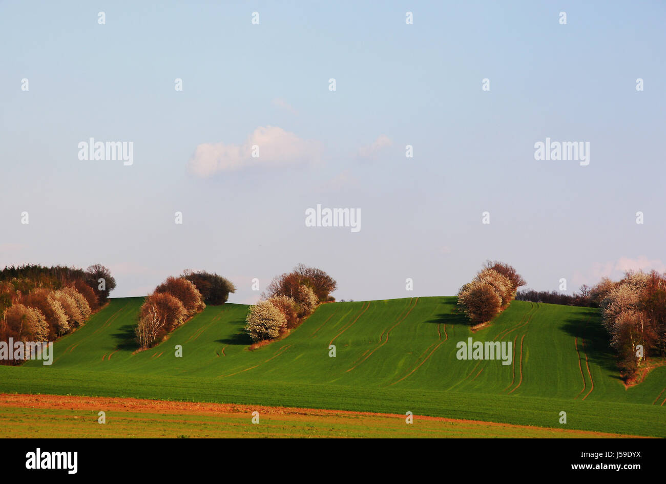 spring fields and meadows Stock Photo - Alamy