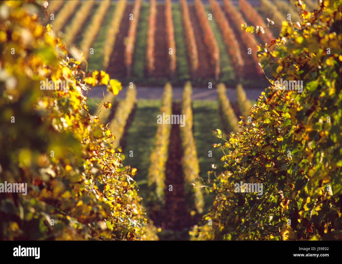 Sloping downwards hi-res stock photography and images - Alamy