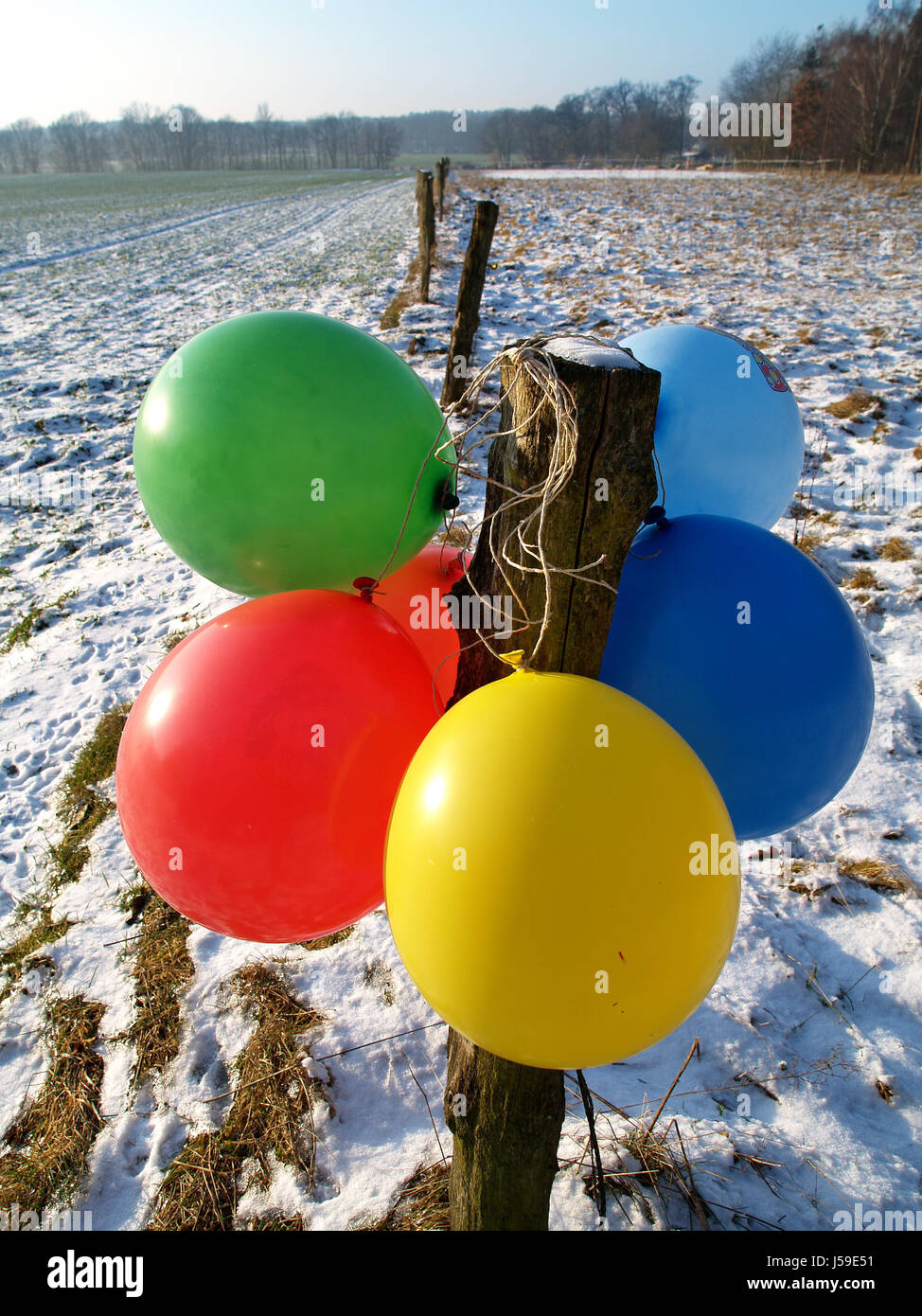 blue winter green coloured colourful gorgeous multifarious richly ...